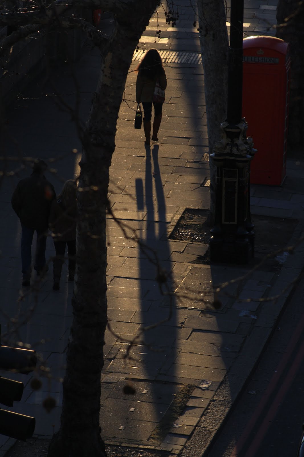 Shadows & Light: Long Shadows