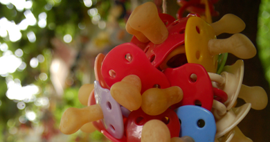 Το πιπιλόδεντρο - The pacifier tree - Η ΔΙΑΔΡΟΜΗ