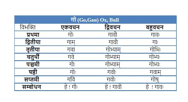 Go/Gau shabd roop in Sanskrit/गो शब्द के रूप