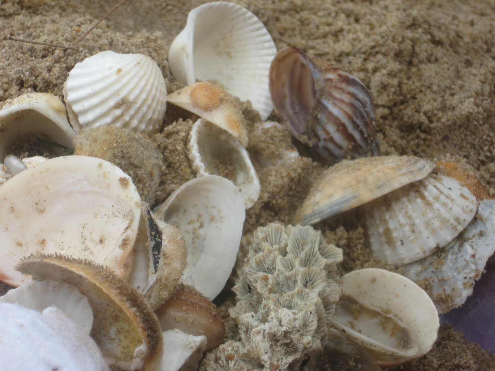 ANDYcakapcakapBLOG !: Hobi Masa Lapang