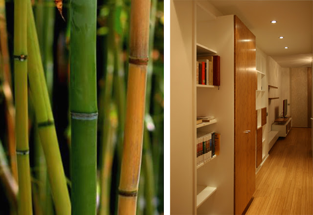Desain Interior Rumah Modern Dengan Lantai Bambu | Inspirasi Desain ...