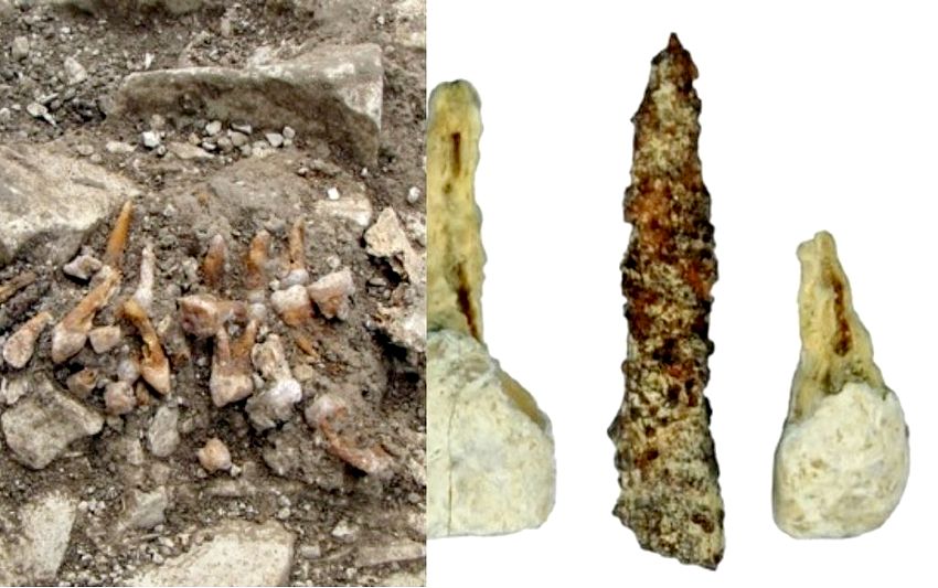 Así es el IMPLANTE DENTAL más antiguo de Europa