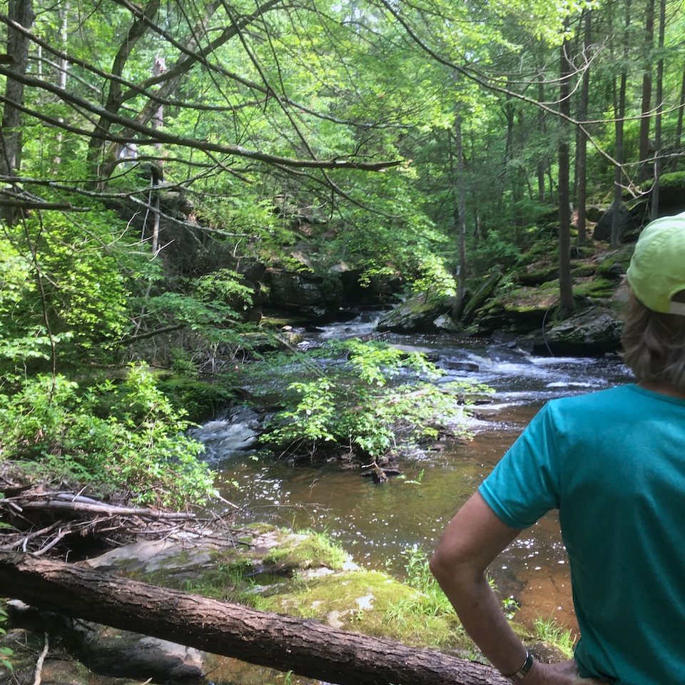 Mountain Biking and Hiking Pics - Rich Coffey: 2019 Trails Day Hike ...