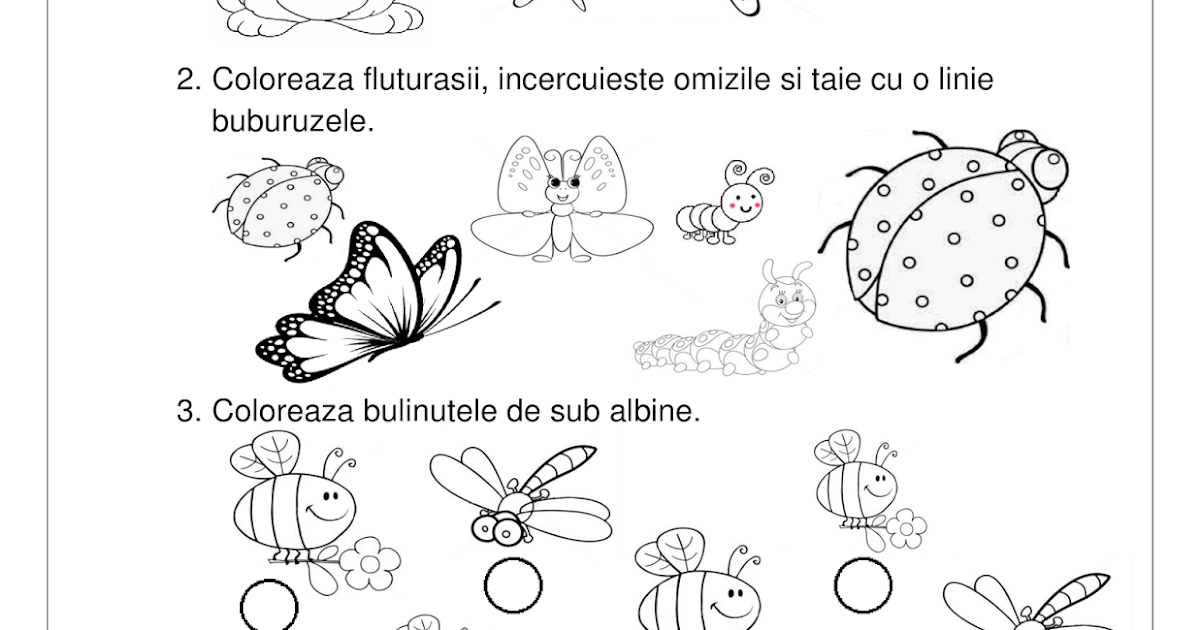 Planse de colorat si fise pentru copii: DS - FISE de lucru cu Insecte ...