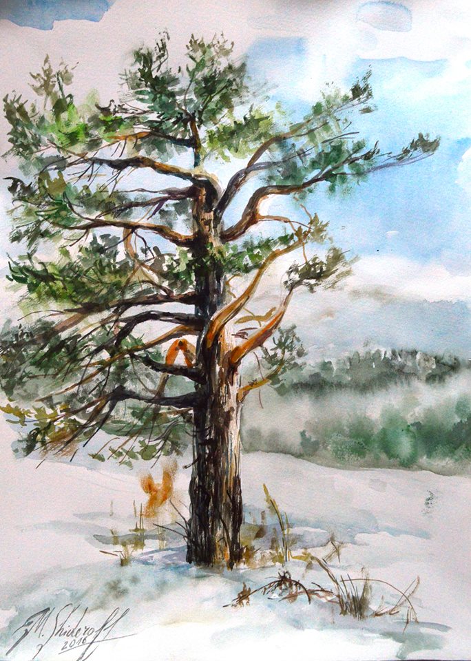 Colourful Star: Изкуството на естествени структури/The art of natural ...