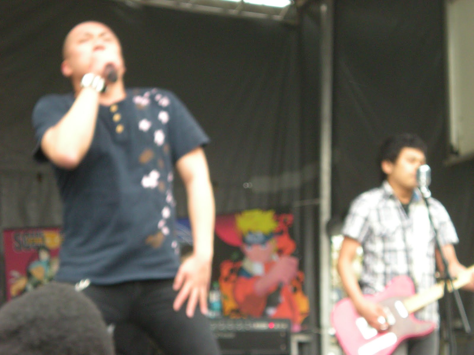 Accelerated Decrepitude: Sakura Matsuri 2011: Stand With Japan