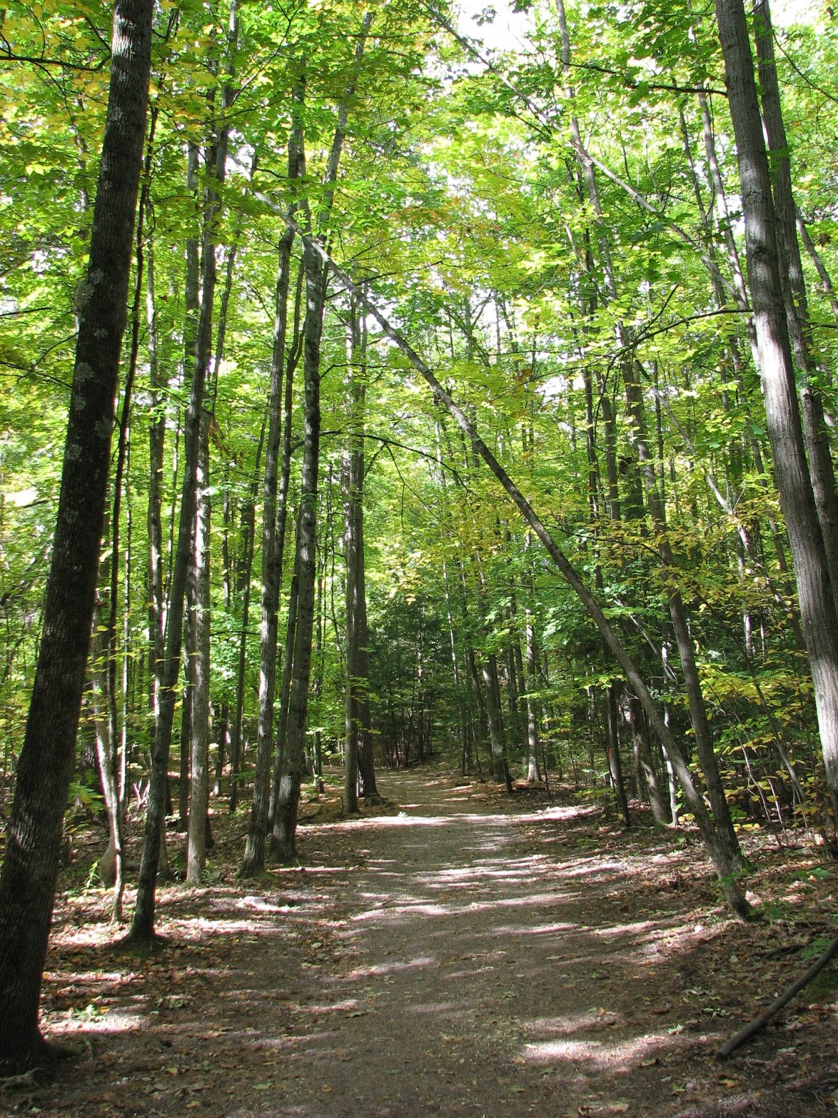 Red Rocks Park -South Burlington, Vermont | Litter with a Story To Tell