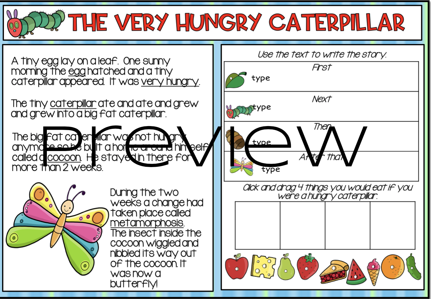 1st Grade Hip Hip Hooray!: Insects!!