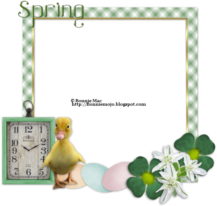 BonnieMac's PSP Tubes and Scrapkits: Spring Frames