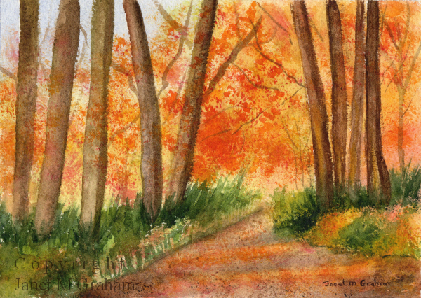 Janet M Graham's Painting Blog: Autumn Walk in watercolours