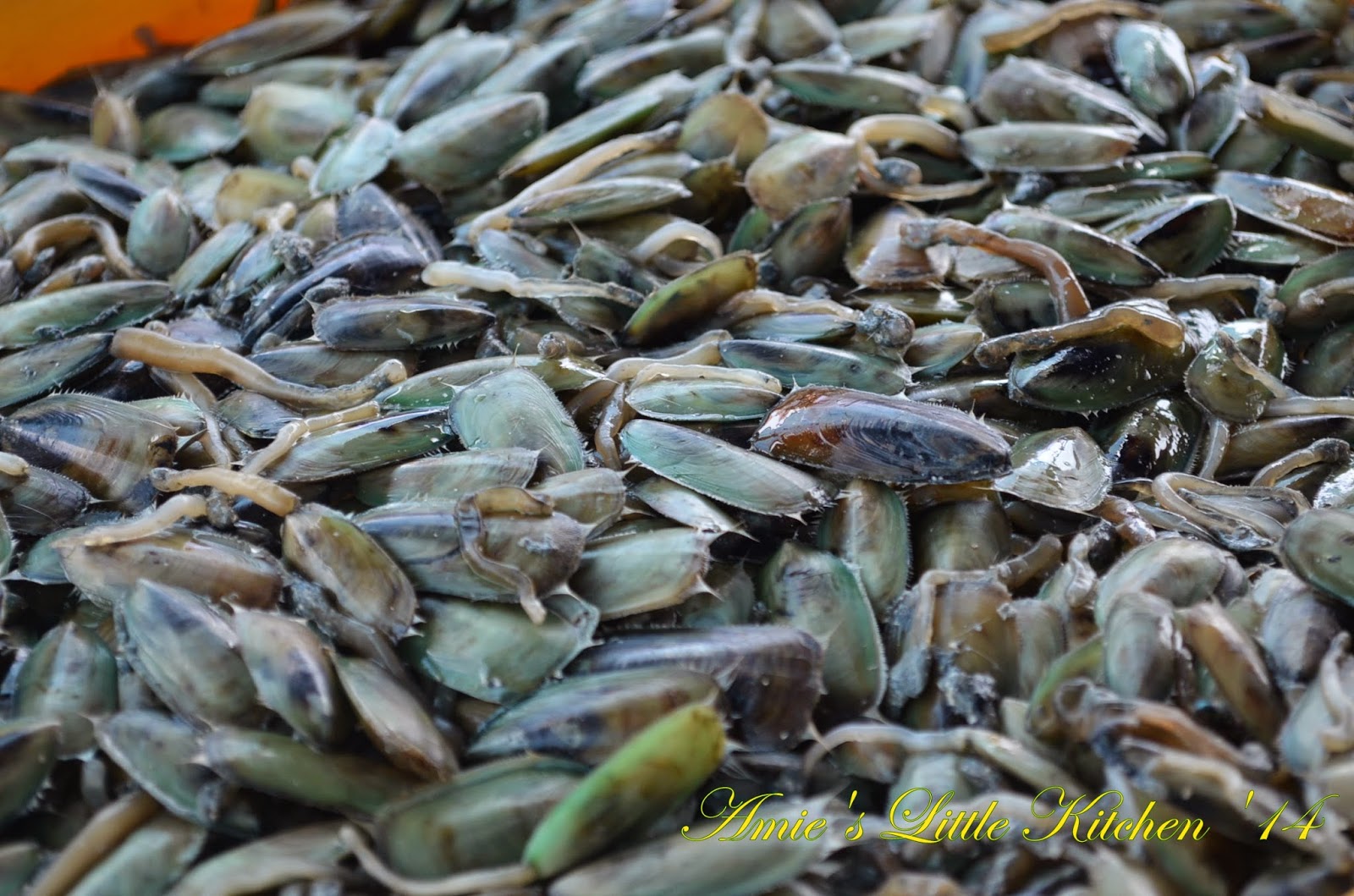 Kembara Insan / Engineer's Blog: Pantai Remis, Kuala Selangor, Selangor ...