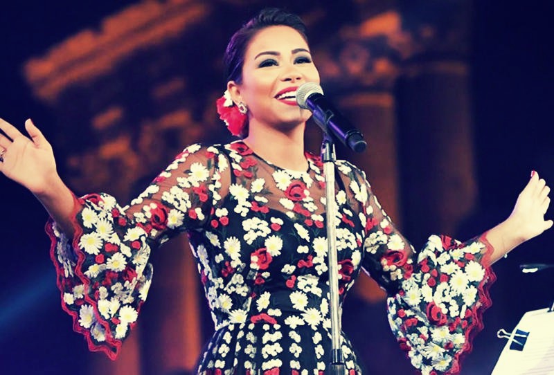 Egyptian Chronicles: Sherine-gate : The problem is not in her big mouth ...