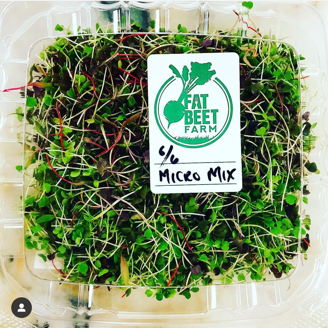 Living the Green Dream: Biodigester at Fat Beet Farm