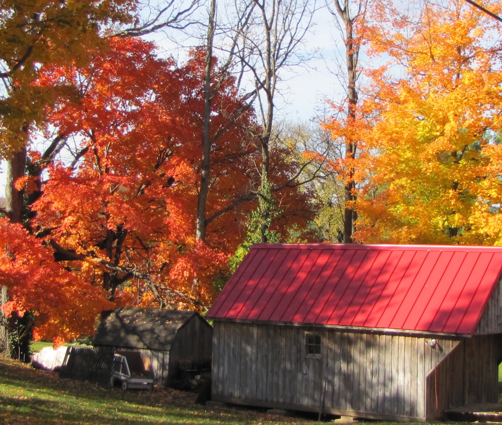 Tidbits of Joy: Awesome Fall in Southern Indiana