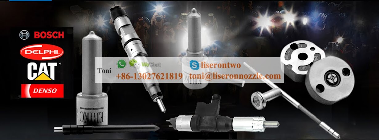 ERIKC Diesel Common Rail & Piezo Injector Spare Parts & Tools: 0445110293 BOSCH Diesel Injector ...