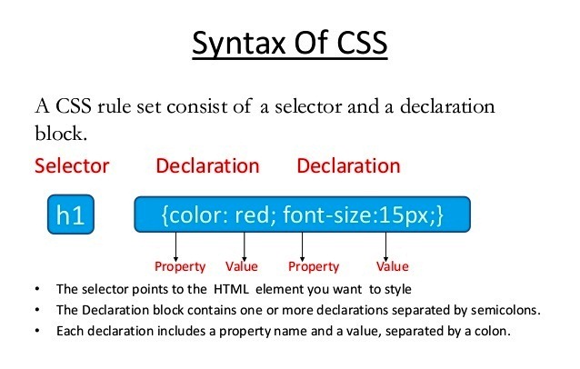 Information Technology It Notes For Std 12th Hsc Exam Commerce Cascading Style Sheets Css