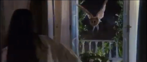 hidden experience: David Bowie, owls and Labyrinth