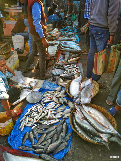 rupam sarma { xhobdo }: Waiting ...