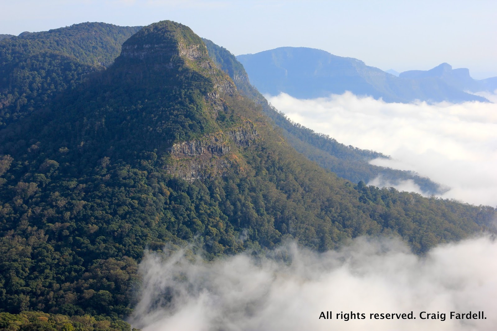 awildland: Mt Cordeaux and Mt Mitchell - Main Range National Park