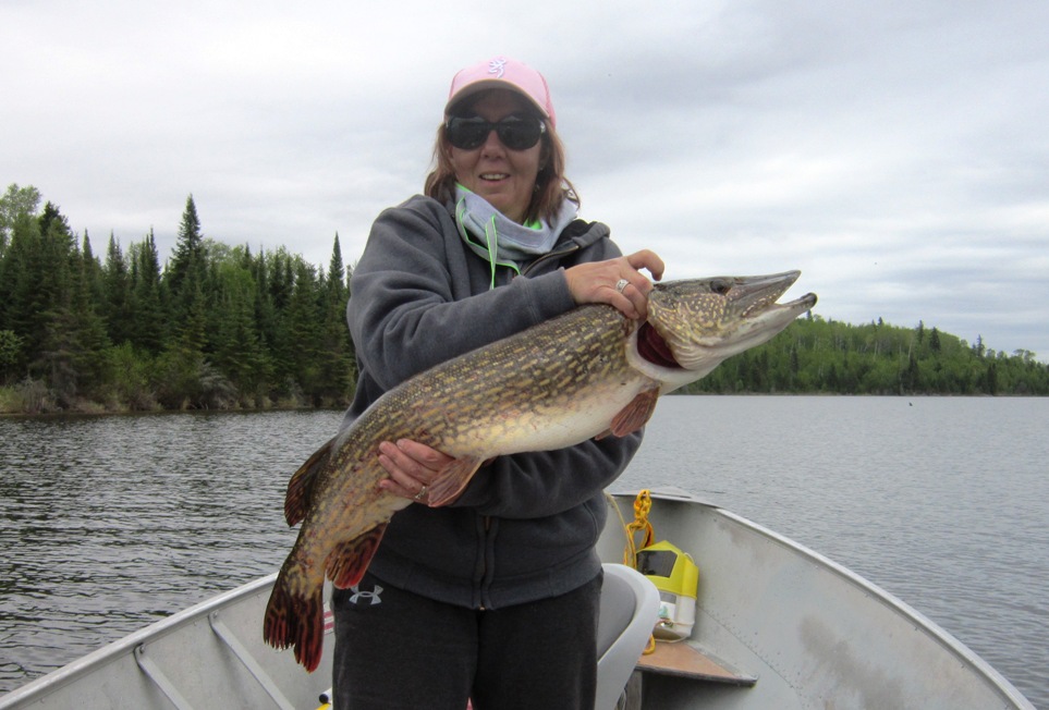 Bow Narrows Camp Blog on Red Lake Ontario: Biggest walleye, biggest ...
