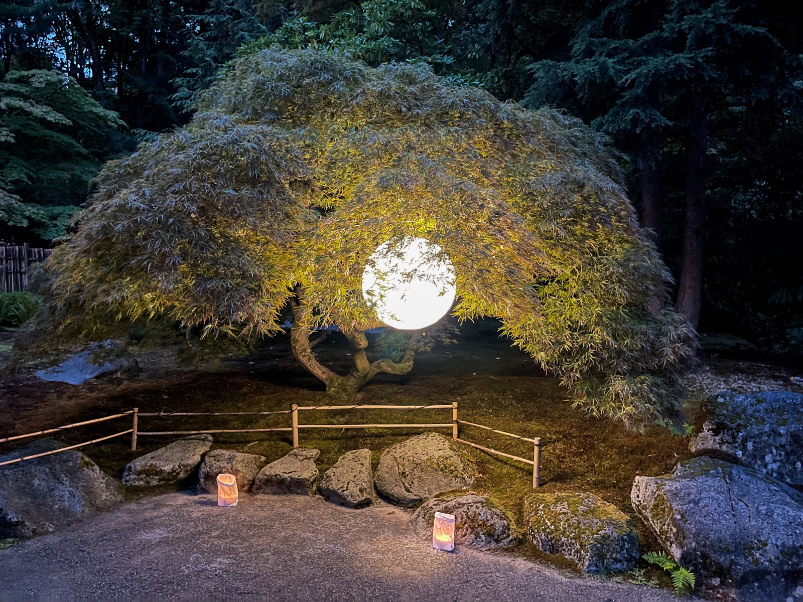 Seattle Japanese Garden Community Blog