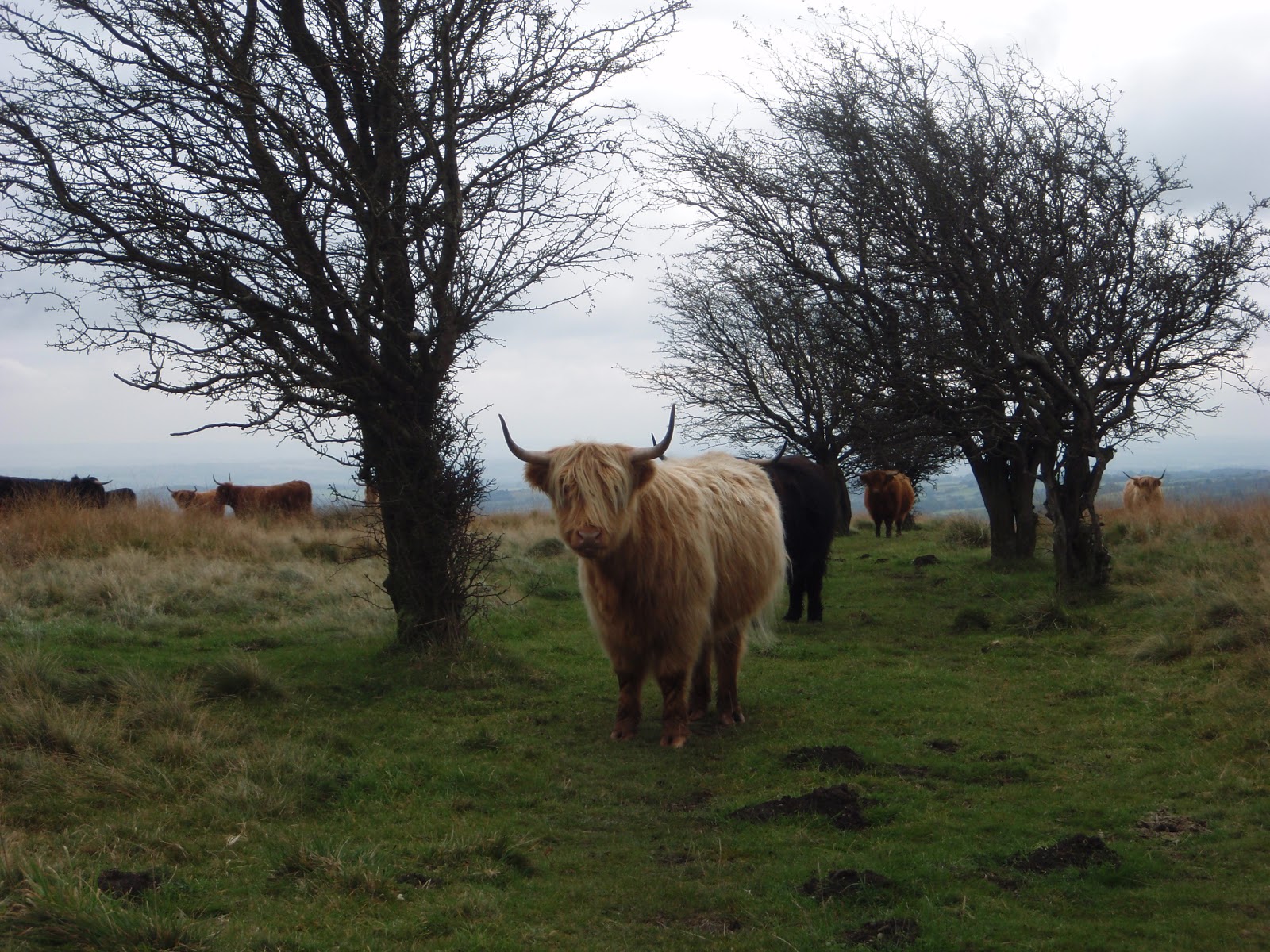 Fell Running on Big Moor – Fell Running Guide