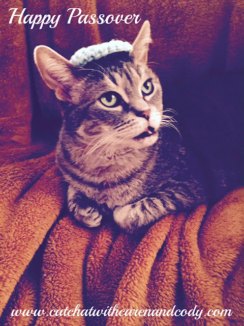 Cat and DOG Chat With Caren: Passover and Easter Fall Together This year!