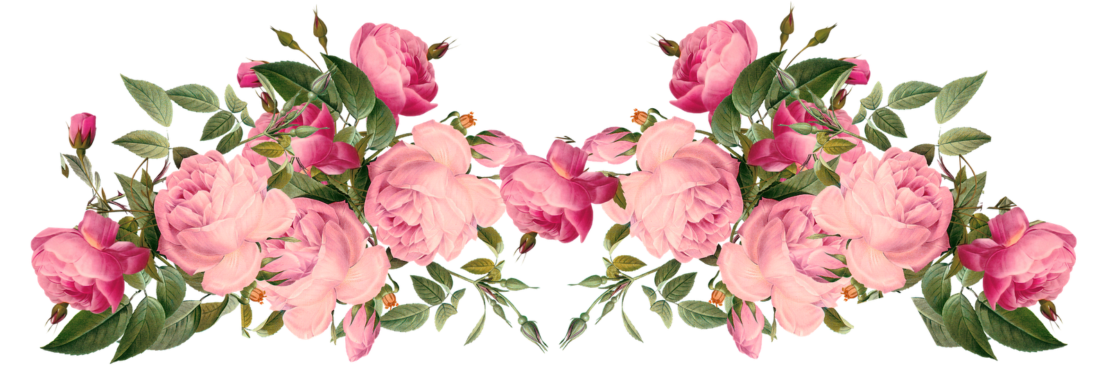 Vintage rose border - Imagui