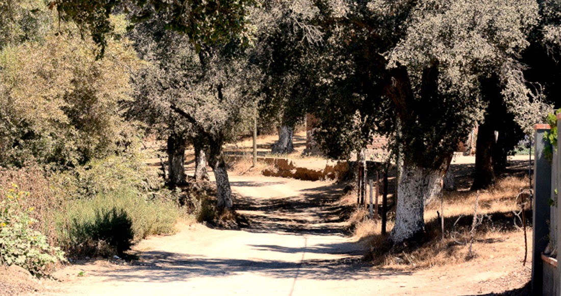 Tijuana is the new Cartel battlefield and one of the most dangerous ...