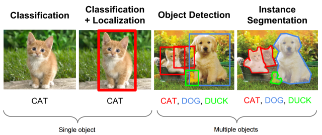 Image Classification in Machine learning - Lost Brain Cells
