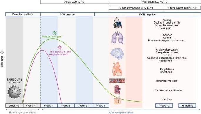 ZONA DE SALUD DE OFRA: Nuevo término médico: PASC (Post-Acute Sequelae ...
