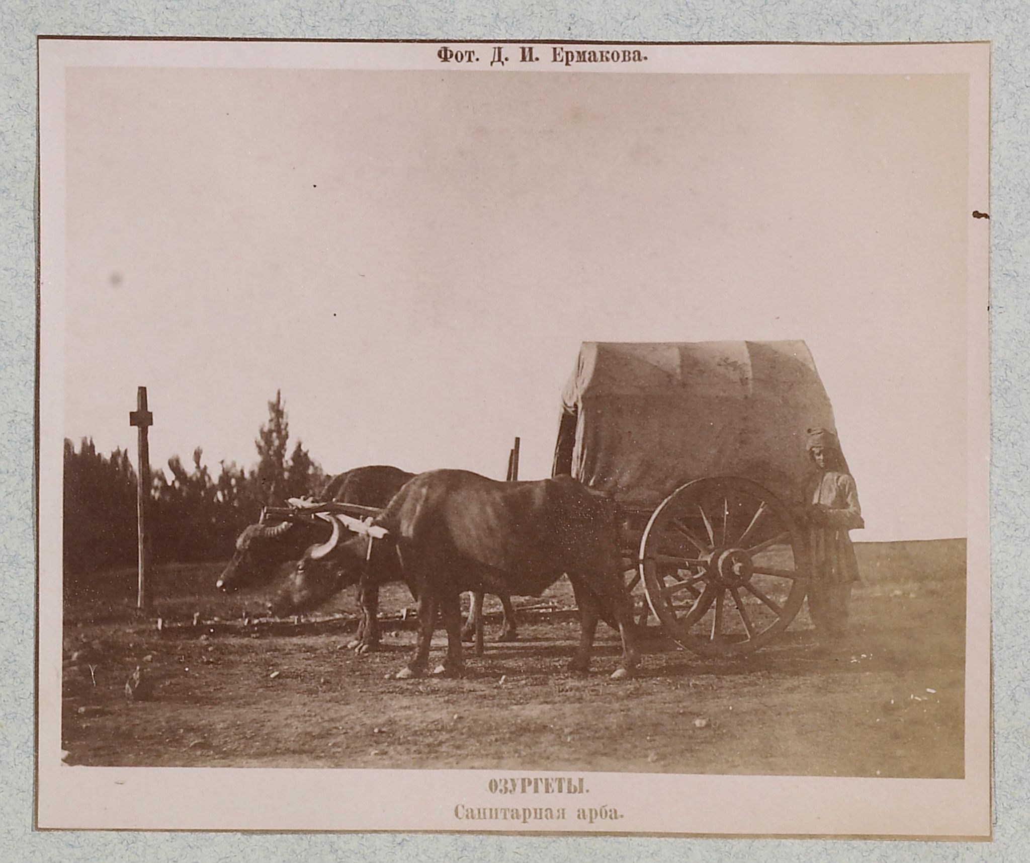 გურია - ერმაკოვის ფოტოები / Photographs of Guria by Dmitri Yermakov