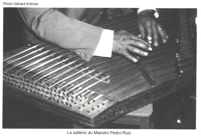 Mexique Le célebre salterio - Pedro Ruíz