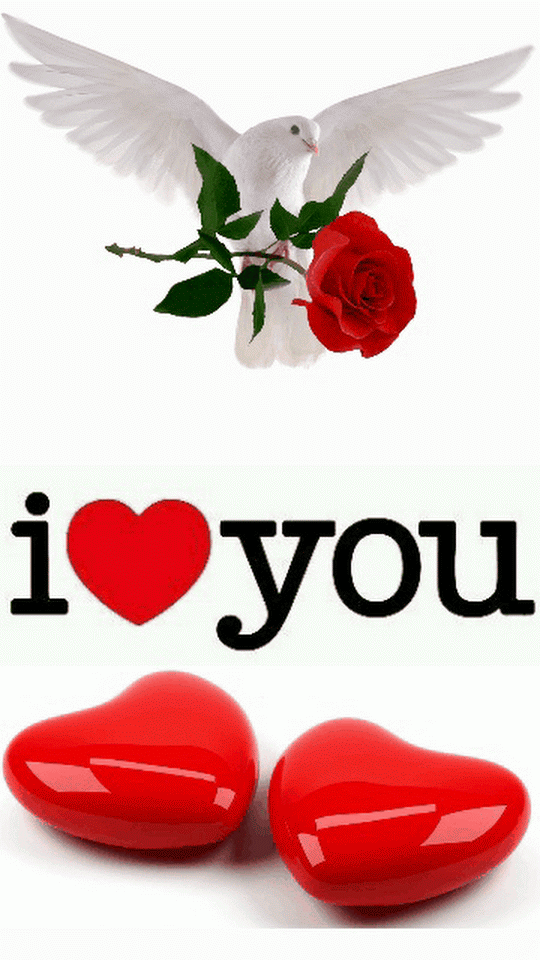 I Love You DP Images HD for Mobile iPhone Wallpapers | Wallpaper DP