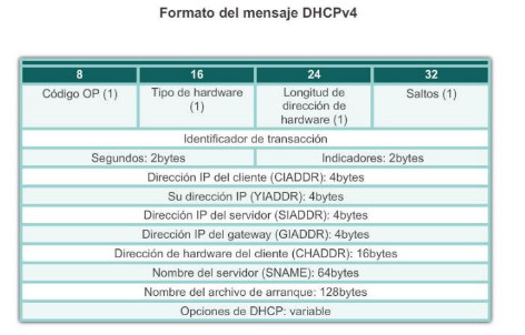 Profesor Cyber: DHCP (Parte 1)