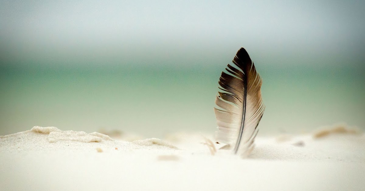 Pluma | Soy un gigante