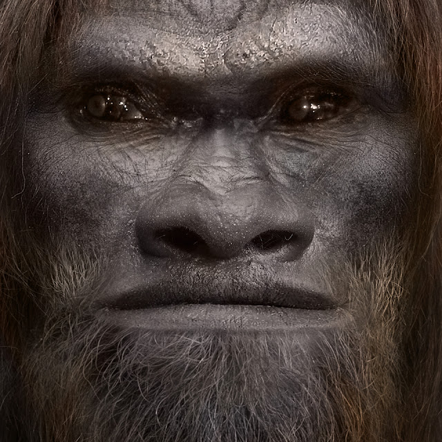 Types of North American Sasquatch