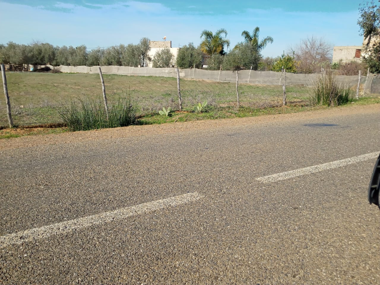 Ferme de 3000 m² a sidi abderrazak