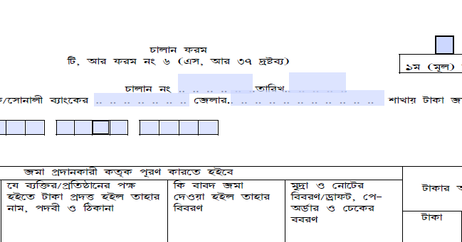 Treasury Challan in pdf-MS Word with Editable version চালান এর পিডিএফ ও ...