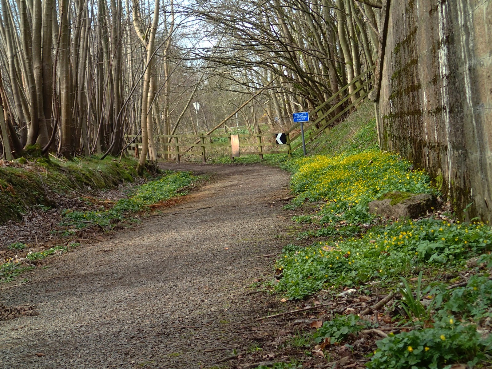 Walking The Line: Aden Park to Deer Abbey, the Garden of Buchan