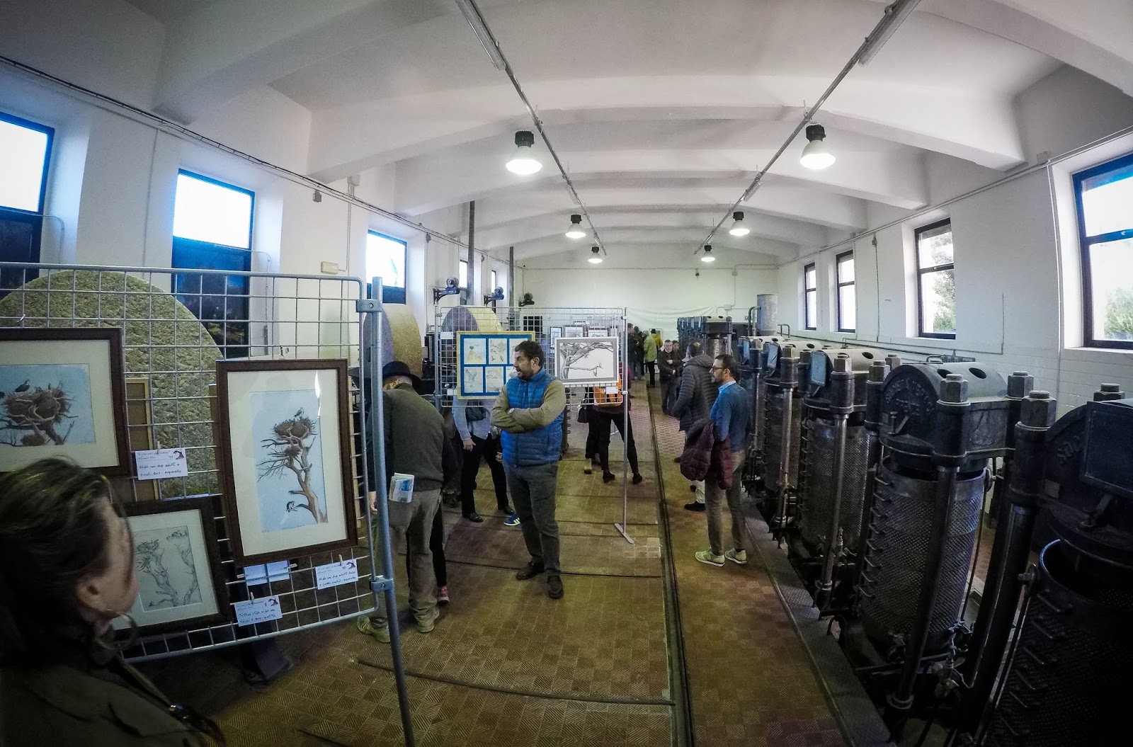 Alessandro Troisi - Osprey's illustrator