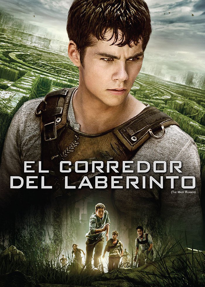 EL CORREDOR DEL LABERINTO