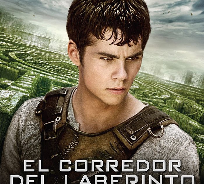 EL CORREDOR DEL LABERINTO