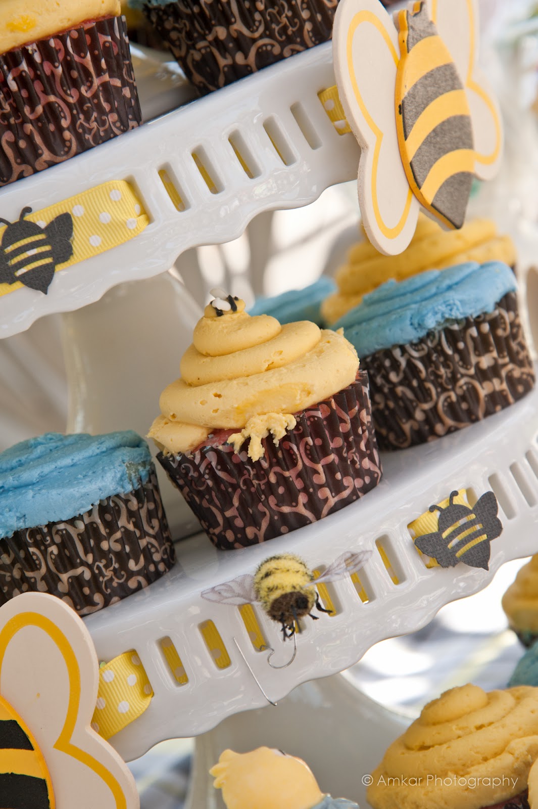 Running from the Law: Mac's Family Baby Shower