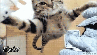 CatJump v1.00 - Symbian S60v5 - S^3 Anna Belle - Signed - SMARTOSWORLD