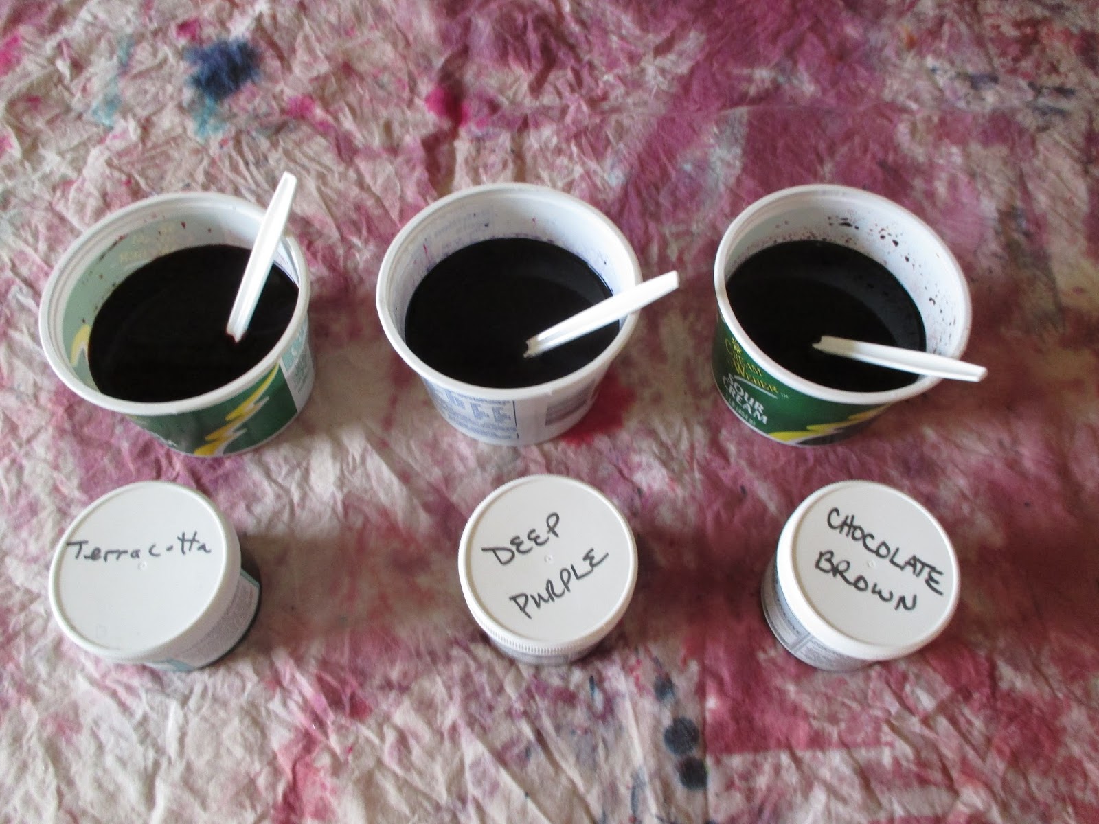 Bunchberry Studio: Snow Dyeing