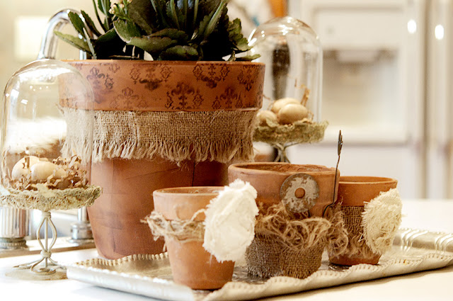 Clay Pots. Jazzed. Just a Bit. - Jill Ruth & Co.