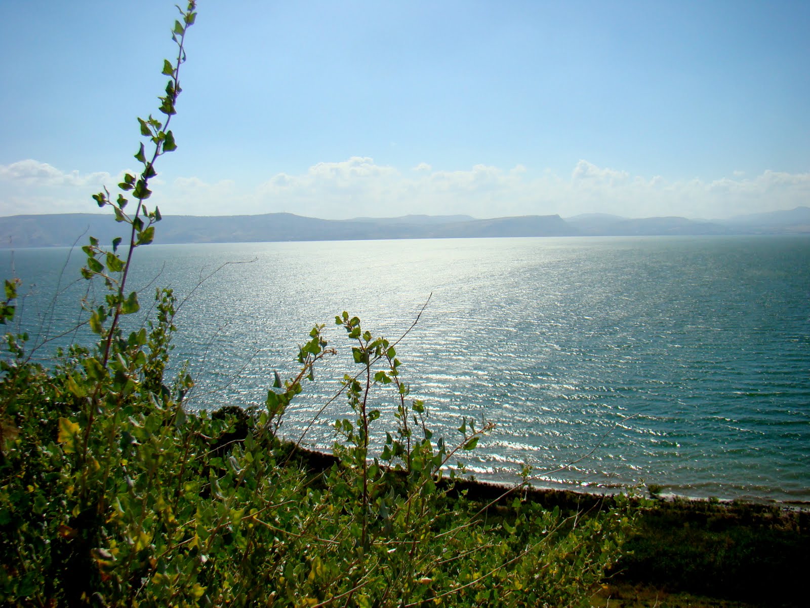 PazzaPazza: RAMAT HA GOLAN - LAKE GENEZARETH
