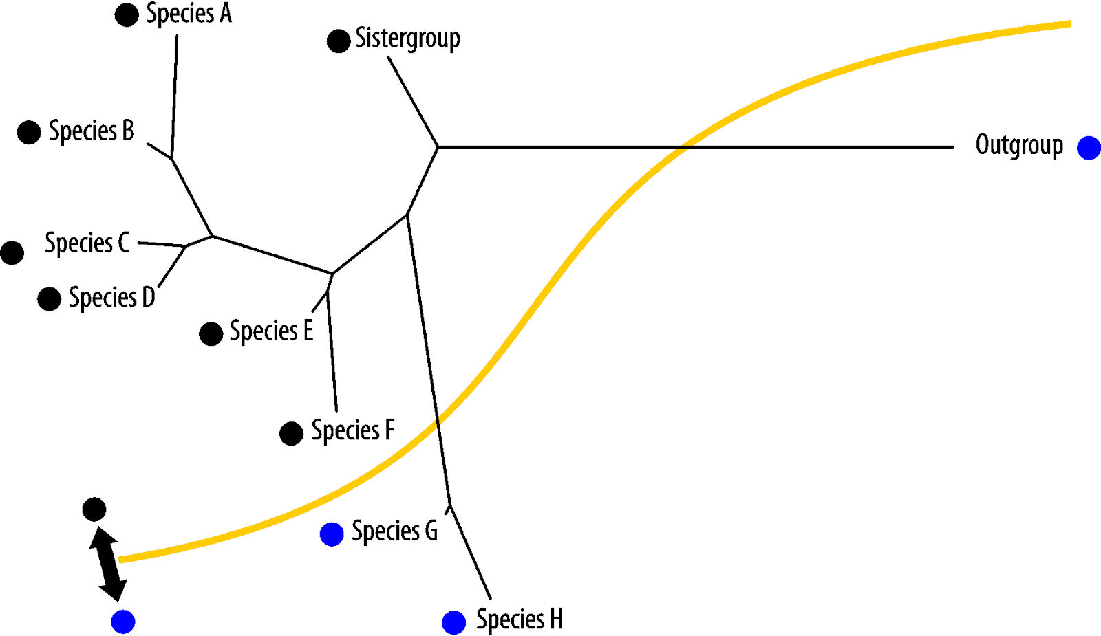 The Genealogical World of Phylogenetic Networks: Has homoiology been ...