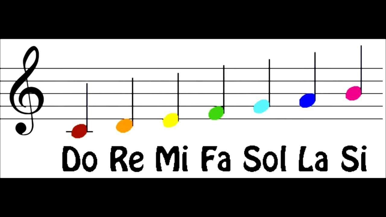 3r PRIMÀRIA B: Les notes musicals!!